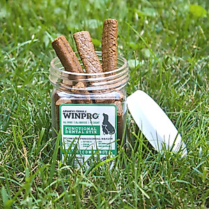WINPRO Pet Functional Dental Stix for Dogs, 16 Sticks, Plasma Powered Dental Dog Chew Sticks That Promotes Gum and Peridontal Health