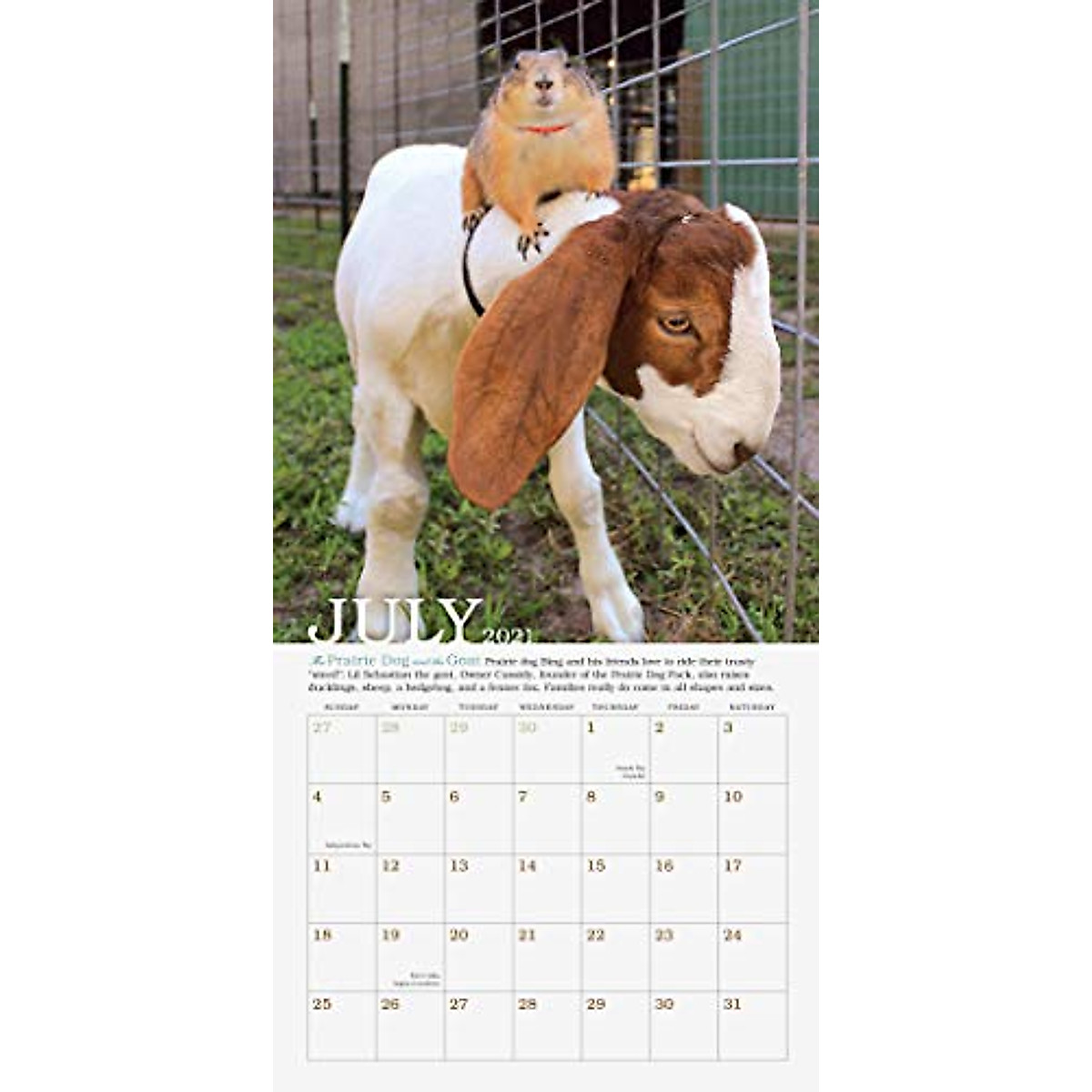 Unlikely Friendships Mini Wall Calendar 2021