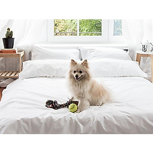 New Organic Cotton Sateen Fitted Sheet for Supreme Comfort and Durability - Fitted Sheets only Cotton-90 x 200cm (EU) size.