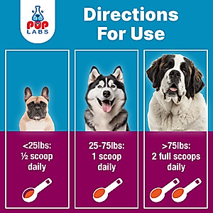 Pup Labs K9 Belly Bliss, All-Natural Gut Health for Dogs, Vet Approved Prebiotic for Dogs for Daily Digestive Support and Dog Constipation Relief, Easy to Use Topper for Dry and Wet Food, 30 Scoops.