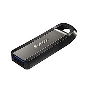 SanDisk 64GB Extreme Go USB 3.2 Flash Drive for Computer, Laptop - Type-A Storage (SDCZ810-064G-G46) Bundle with (1) Everything But Stromboli Lanyard
