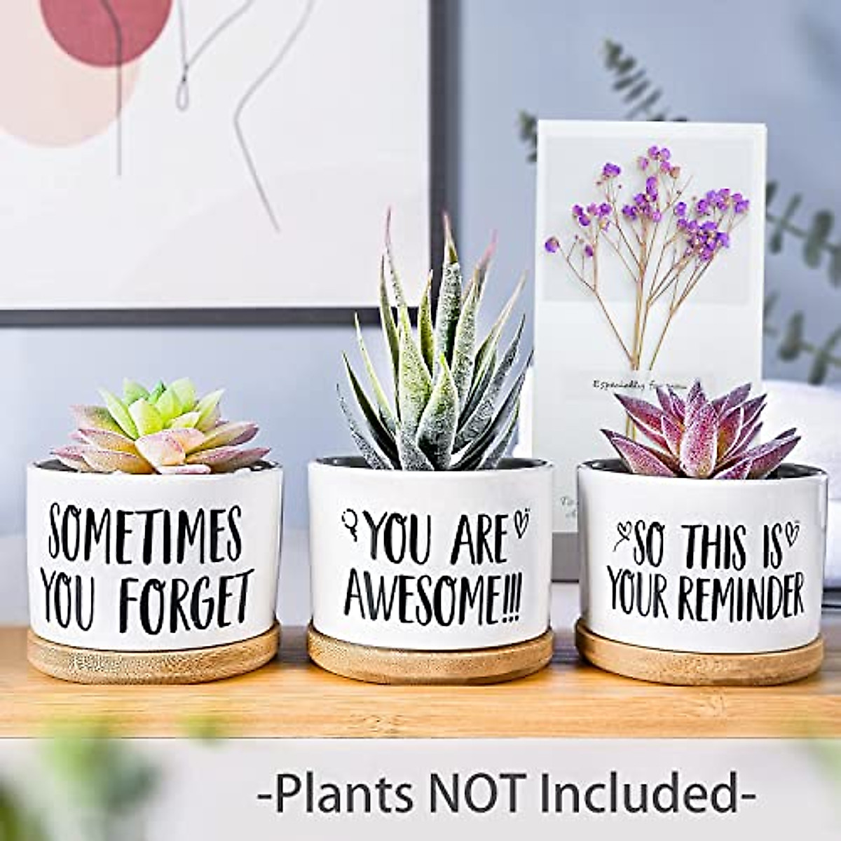 Birthday Gifts for Women, Friend Gifts for Women, Gifts for Her, Sister Gifts, Funny Gifts for Women Unique Gift Ideas for Mom Men Awesome Succulent Pots 3PCS