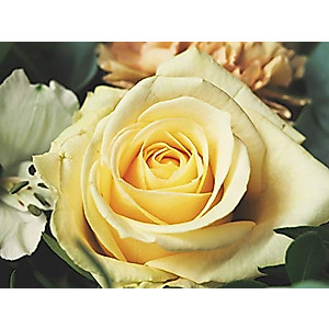 Layered Fragrance SHOLAYERED Body Spray for Men and Women for Travel, Portable Size from Japan 0.34 Fl Oz White Rose