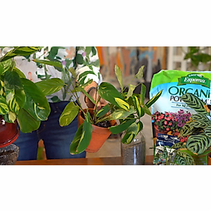 Espoma Organic Potting Soil Mix - All Natural Potting Mix For All Indoor & Outdoor Containers Including Herbs & Vegetables. For Organic Gardening, 16 qt. bag. Pack of 1