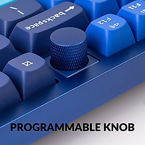Keychron Q3 Wired Custom Mechanical Keyboard Knob Version, TKL Tenkeyless QMK/VIA Programmable Macro with Hot-swappable Gateron G Pro Red Switch Double Gasket Compatible with Mac Windows Linux (Blue)
