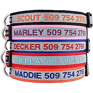 GoTags Reflective Personalized Dog Collar, Custom Embroidered with Pet Name and Phone Number in Blue for Boy and Girl Dogs, 3 Adjustable Sizes, Small, Medium, and Large