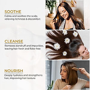 Anti Dandruff Shampoo - Sulfate-Free, Dry Scalp Soothing, Itchy Scalp Relief, Tea Tree Oil & Apple Cider Vinegar, Paraben Free Shampoo - Best Shampoo for Dandruff, Flakes, Itching & Scalp Care