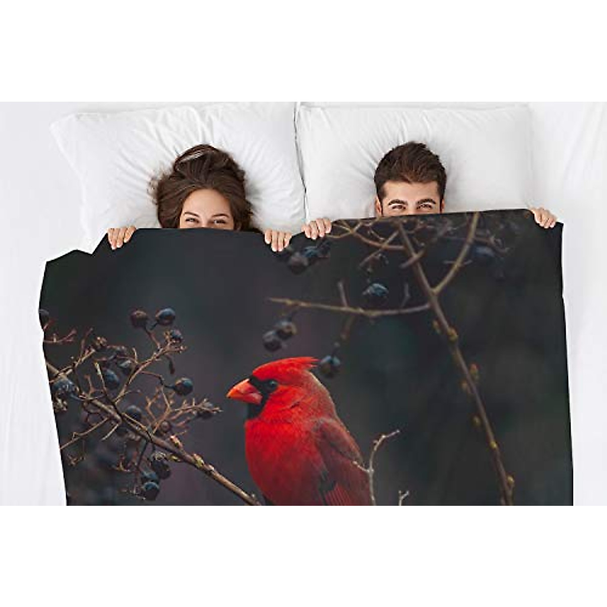 Swono Red Bird Throw Blanket,Northern Cardinal Bird On The Tree Branch Thorw Blanket Soft Warm Decorative Blanket for Bed Couch Sofa Office Blanket 30"X40"