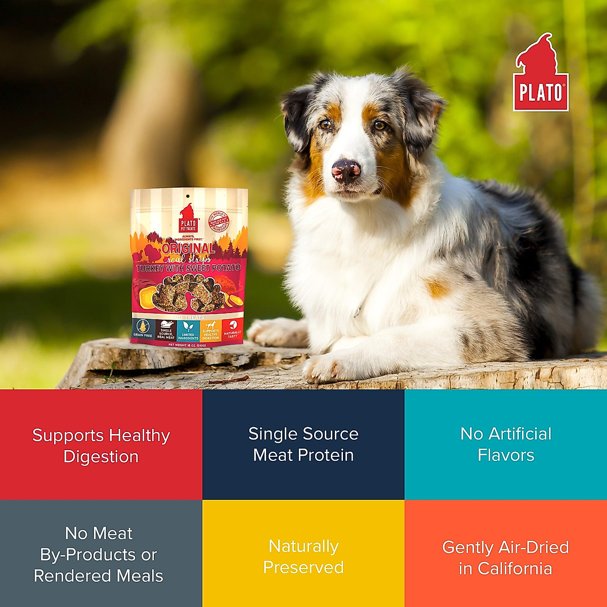 PLATO Turkey Real Strips Natural Dog Treats - Real Meat - Air Dried - Made in the USA - Turkey & Sweet Potato, 6 ounces