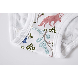 Winging Day Packs of 6 Big Girls Panties Underwear Assorted Styles Size 8