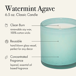 LAFCO Watermint Agave Classic Candle, Desert House