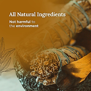 MAGNIFICENT 101 Affirmations Sage, Cedar, Palo Santo, Sprinkle of sage Leaves Smudge Candle for House Energy Cleansing, Banishes Negative Energy - Soy Wax Tin Candle (I Align with Abundance)