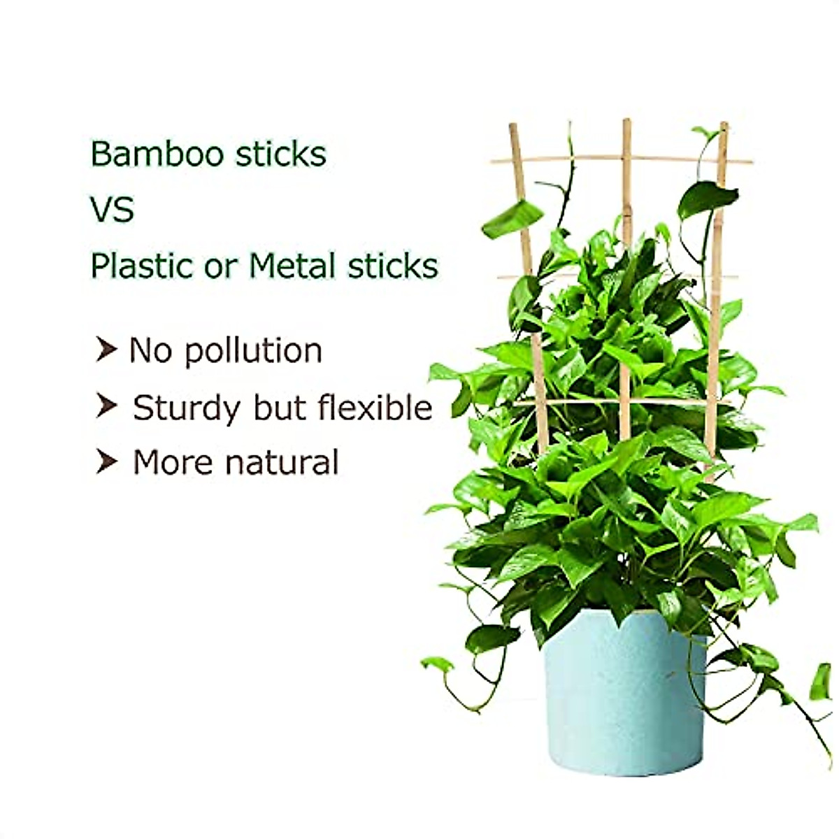 Cambaverd 3 Pack Min Bamboo Trellis 16 in Fan -Shaped Plant Support Trellis with Twist Ties for Indoor Mini Climbing Plants Hoya Potted Plants House Plants Vine Ivy