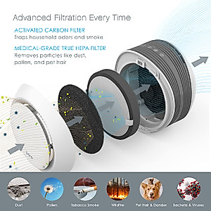 Pure Enrichment® Genuine 2-in-1 True HEPA Replacement Filter for The PureZone™ Halo Air Purifier (PEAIRDSK)