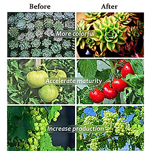 Vionmi Optics Grow Lights for Seed Starting Full Spectrum LED Plant Grow Lamp for Succulent Indoor Plants Sun Lights 2 Head Clip Lamps Replaceable Bulb Adjustable Gooseneck