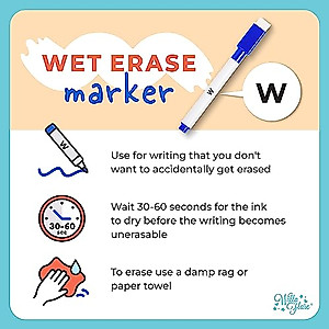 Willa Flare Fridge Chore Chart 1 pc | Magnetic Chore Chart For Kids and Adults | Helps to Reward Responsibility with Family Chores Charts | Includes Wet and Dry Erase Markers (Gray Cat)