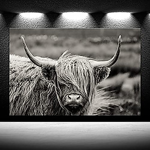 iKNOW FOTO Black and White Canvas Wall Art Highland Cow Cattle Picture Prints Texas Longhorn Painting Farm Animal Artwork for Home Decor Modern Living Room Bedroom Decorations Ready to Hang 32x48inch