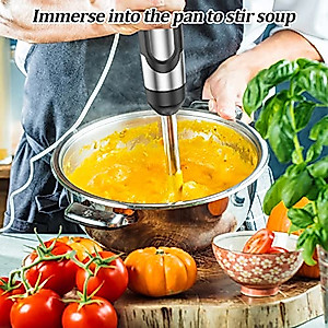 Immersion Blender LINKChef Hand Blender with Whisk 3 in 1 800W ,Variable Speed Controler,304 Stainless Steel Ice Crush Blade with Whisk, Milk Frother