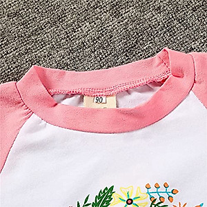 Big Sister Letter Print Blouse Tops Toddler Baby Girls Long Sleeve Garland T-Shirt (Pink, 2t)