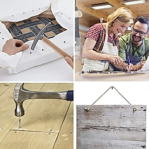 Coceca 200 Pack Hardware Nails for Hanging Pictures, 4 Size Zinc Tiny Nail Assorted Kit, Picture Nail, Small Nails, Finishing Nail, Wall Nails and Galvanized Nails for Wood