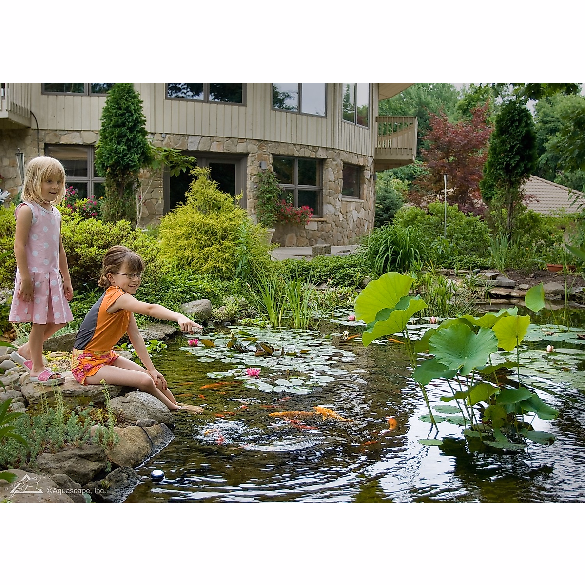 Aquascape 98949 Beneficial Bacteria Concentrate for Pond and Water Features, 1.1-Pound, white