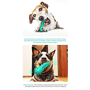 ASWER Dog Chew Toothbrush Toys for Small Medium Large Dogs Dental Care, Squeaky Teeth Cleaning Toy for Aggressive Chewers Large Breed Indestructible Tough Dog Toothbrush Stick Blue