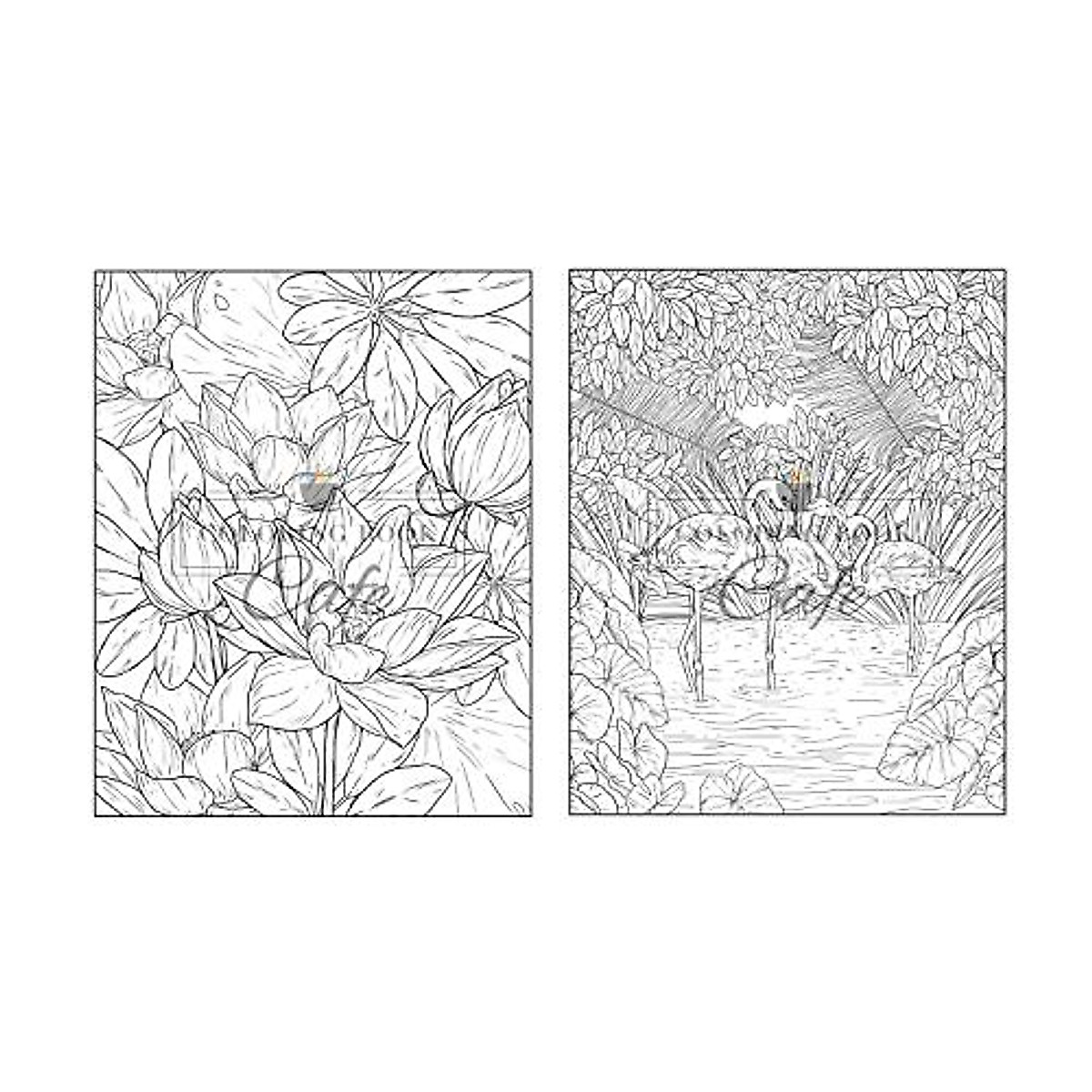 100 Wildlife Scenes: An Adult Coloring Book Featuring 100 Most Beautiful Wildlife Scenes with Animals, Birds and Flowers from Oceans, Jungles, Forests and Savannas