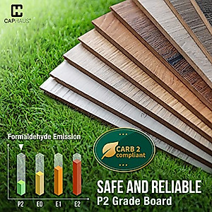 CAPHAUS 4 Tier Ladder Bookshelf, 24 Inch Width Free Standing Shelf, Bookcase Shelf Storage Rack Organizer, Industrial Book Shelves for Home Office, Living Room, Kitchen, Black Wooden Shelves