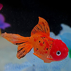 HOT Item! Decor Goldfish Aquarium Decoration Artificial Glowing Effect Fish Tank Glow in The Dark Ornament (M, D)