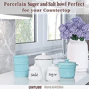 ONTUBE 12oz Sugar and Salt Bowls with Lid and Spoon, Ceramics Condiment Pots,Seasoning Jar Spice Container for Kitchen,Dishwasher Safe (White)