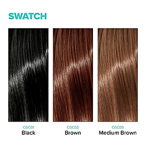 RED by Kiss Quick Cover Root Touch Up Comb Type Water-Resistant Temporary Gray Concealer Cover Up Brush for Hair and Beard (Black)