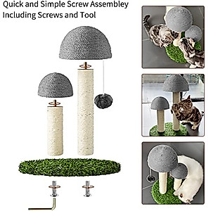 DONORO 18" Cat Scratching Posts for Indoor Cats Featuring with 2 Mushroom Scratch Poles and Interactive Dangling Ball, Sisal Rope Cat Scratcher Tree for Small Cat Kitten