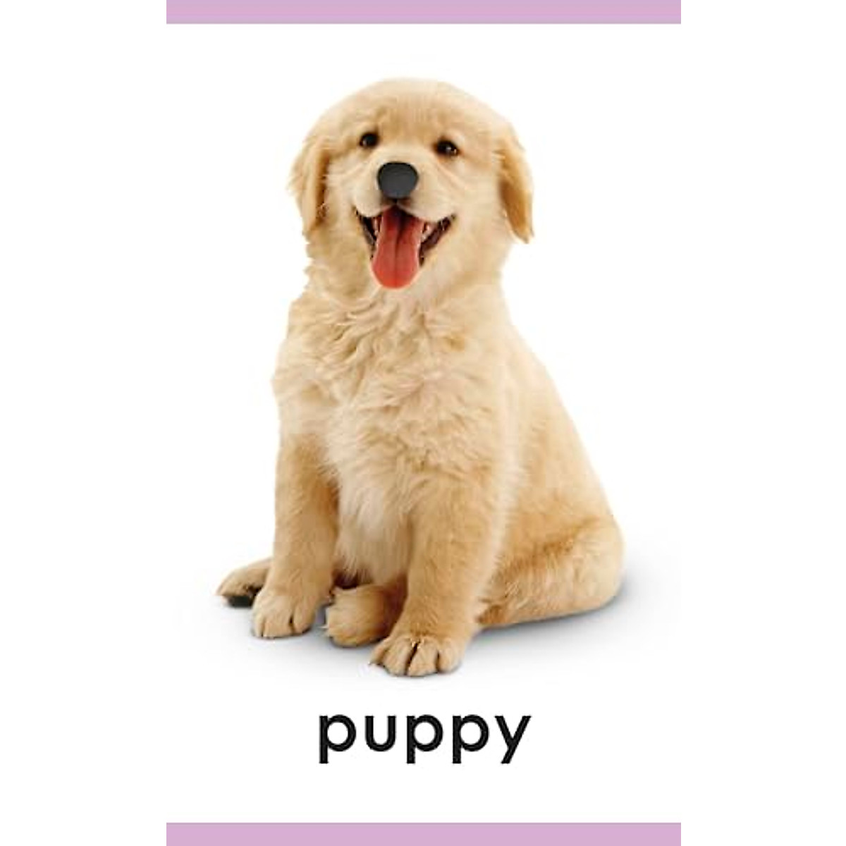 My First Touch and Feel Picture Cards: Animals (My First Board Books)