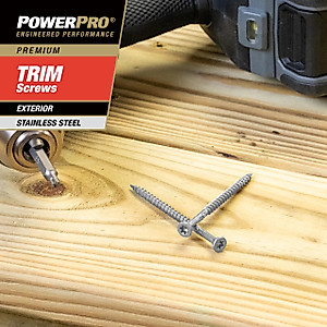 Power Pro Premium 305 Stainless Steel Trim Screws (#8 x 3") - 1lb Box