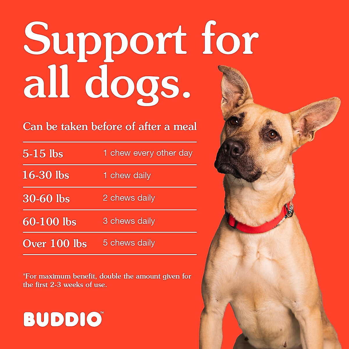 BUDDIO Advanced Hip & Joint Dog Supplement – High-Potency Glucosamine, Fish Oil, Vitamin E, Manganese – Tasty Chicken Liver Flavored Soft Chews, 90 Count – Vet Recommended for Enhanced Mobility