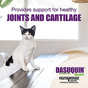 Nutramax Dasuquin Joint Health Supplement for Cats - With Glucosamine, Chondroitin, ASU, Boswellia Serrata Extract, Green Tea Extract, and Omega-3, 84 Soft Chews