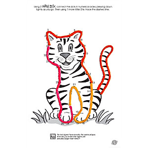 WIKKI STIX Animal Activity Pak - Features 12 Zoo Animals with Hands-on Activity and Fun Fact on Each, Made in The USA! Multiple Colors !