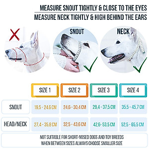 GoodBoy Dog Head Halter with Safety Strap - Stops Heavy Pulling On The Leash - Padded Headcollar for Small Medium and Large Dog Sizes - Head Collar Training Guide Included (Size 2, Pink)