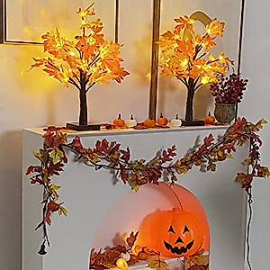 Efunly 2 Pack Fall Maple Tree with 48 LEDs Battery Operated Light Up Artificial Pumpkins Maple Acorn Tree for Fall Thanksgiving Table Harvest Home Indoor Decoration