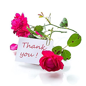 Betinyar 100 Pieces Paper Clips Cute, Love Heart Shaped Paper Clips, Metal Small Paper Clips, Bookmark Document Organizing Clip for School Office (Gold)