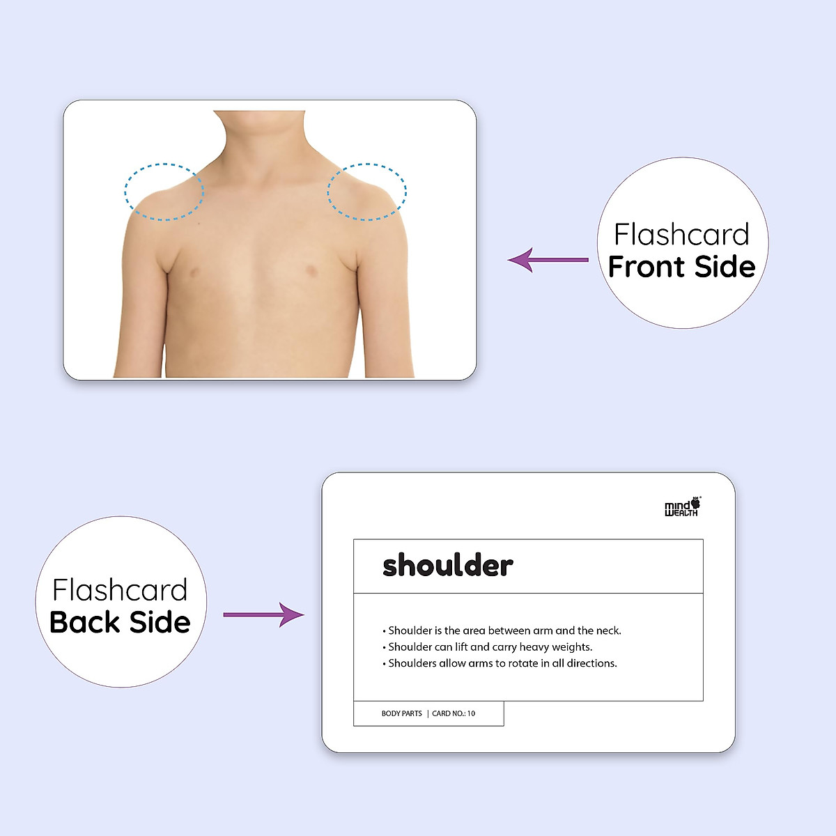 My First Body Parts Flash Cards for Toddlers - 24 Cards - 48 Sides, Montessori, Educational, Kindergarten, Preschool Learning Activities, Gifts for Kids, 1-4 Years babies, Fun & Educational Flashcards