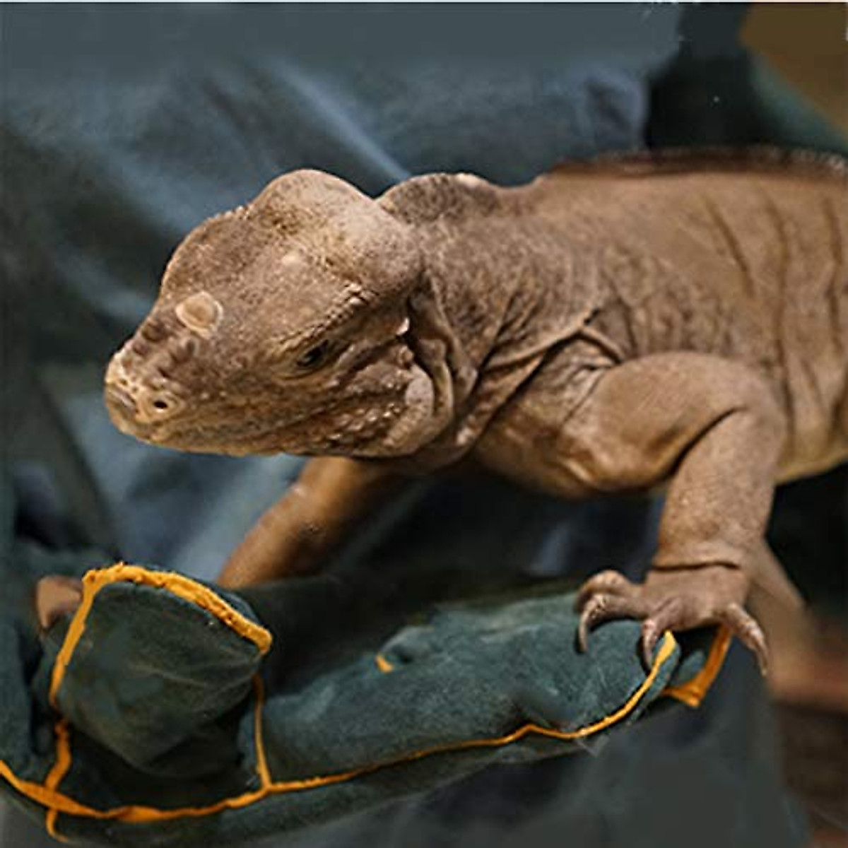 Hamiledyi Animal Handling Gloves Bite With Hook Proof Reinforced Leather Padding Dog Cat Scratch Bird Falcon Protection Grabbing For Reptile Squirrel Snake Bite Lizard Boa Bbq 23inch