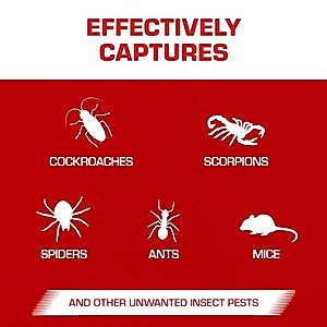 Tomcat Glue Boards with Immediate Grip Glue for Mice, Cockroaches, and Insects, Use Flat or Covered, Ready-To-Use, 4 Traps