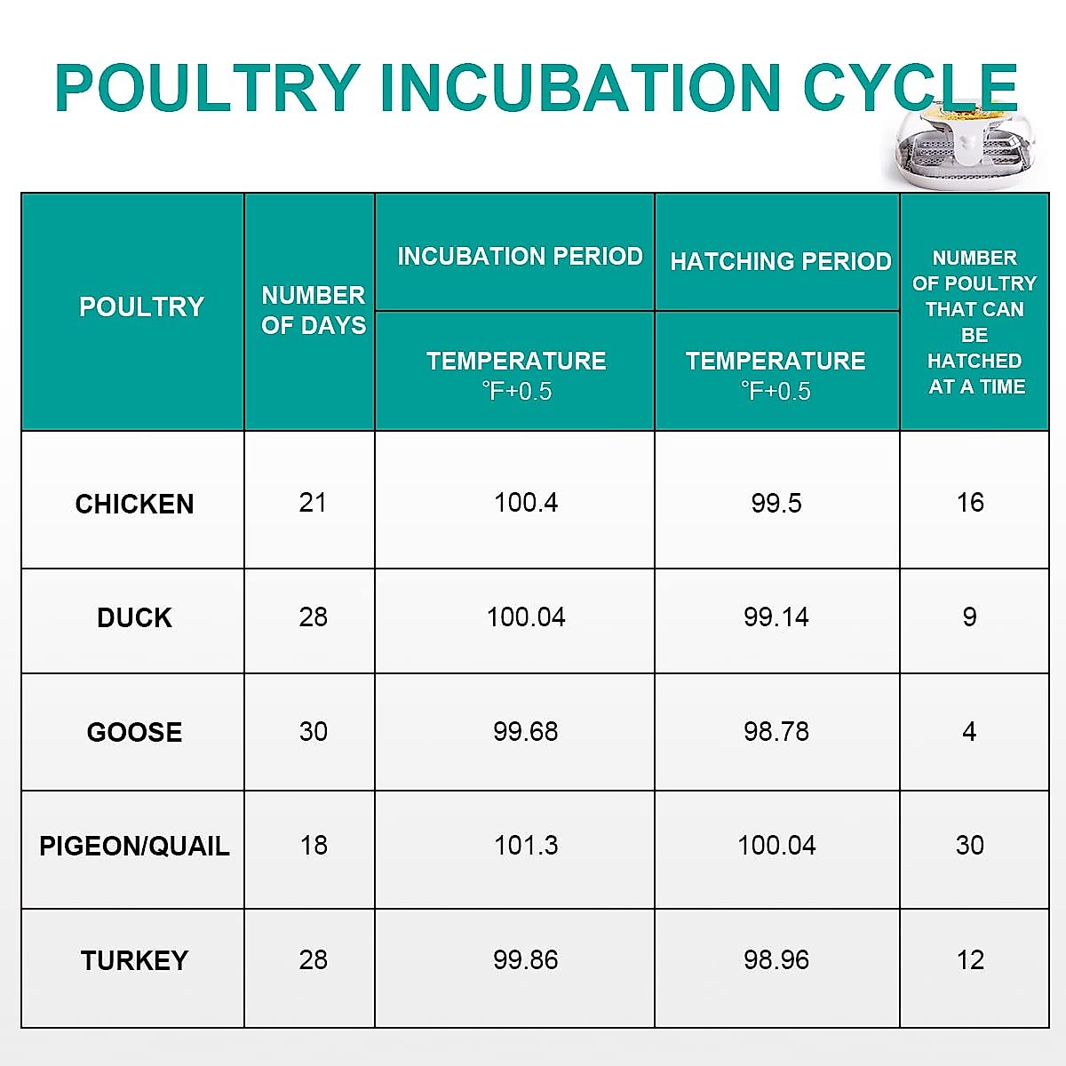 Lreerge Egg Incubator, 12 Eggs Incubator with Automatic Egg Turning, Automatic Water Adding, 360 Degree View, for Hatching Chicken Goose Quail Duck