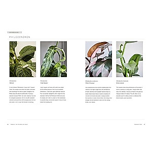 Terrain: The Houseplant Book: An Insider’s Guide to Cultivating and Collecting the Most Sought-After Specimens