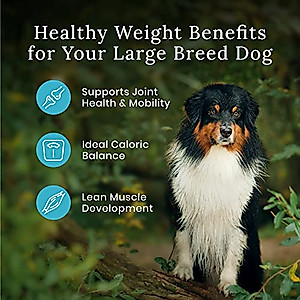 Blue Buffalo Wilderness High Protein Natural Large Breed Healthy Weight Adult Dry Dog Food Plus Wholesome Grains, Chicken 28 lb Bag