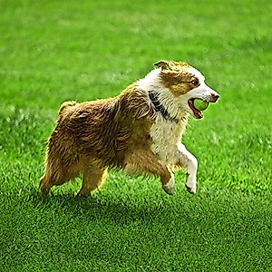 AYOHA 3 FT x 8 FT Artificial Grass, Realistic Fake Grass Deluxe Synthetic Turf Thick Lawn Pet Turf, Indoor/Outdoor Landscape, Easy to Clean with Drain Holes, Non-Toxic, High Density, 35mm