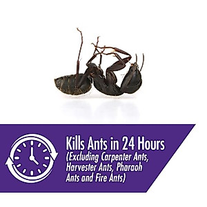 STEM Liquid Ant Baits, Kills The Queen and Colony, for Indoor Use, 12 Spill Proof Bait Stations