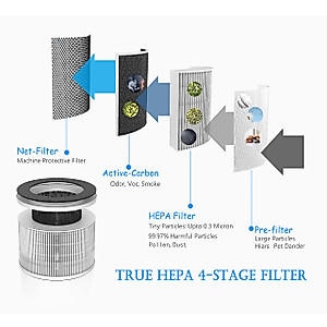 Tredy H13 Grade HEPA Air Purifier Replacement Filter for Smoke, Smokers, Dust, Odors, Pet Dander, TD-1500, 1 Pack