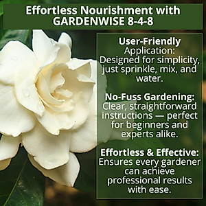 GARDENWISE 8-4-8 Acidic Fertilizer for Azaleas, Camellias (Camelia), Hydrangeas, Blueberries, Gardenias, Magnolia Trees, Evergreens, and Rhododendrons - Ideal Iron-Rich Plant Food (12 OZ)
